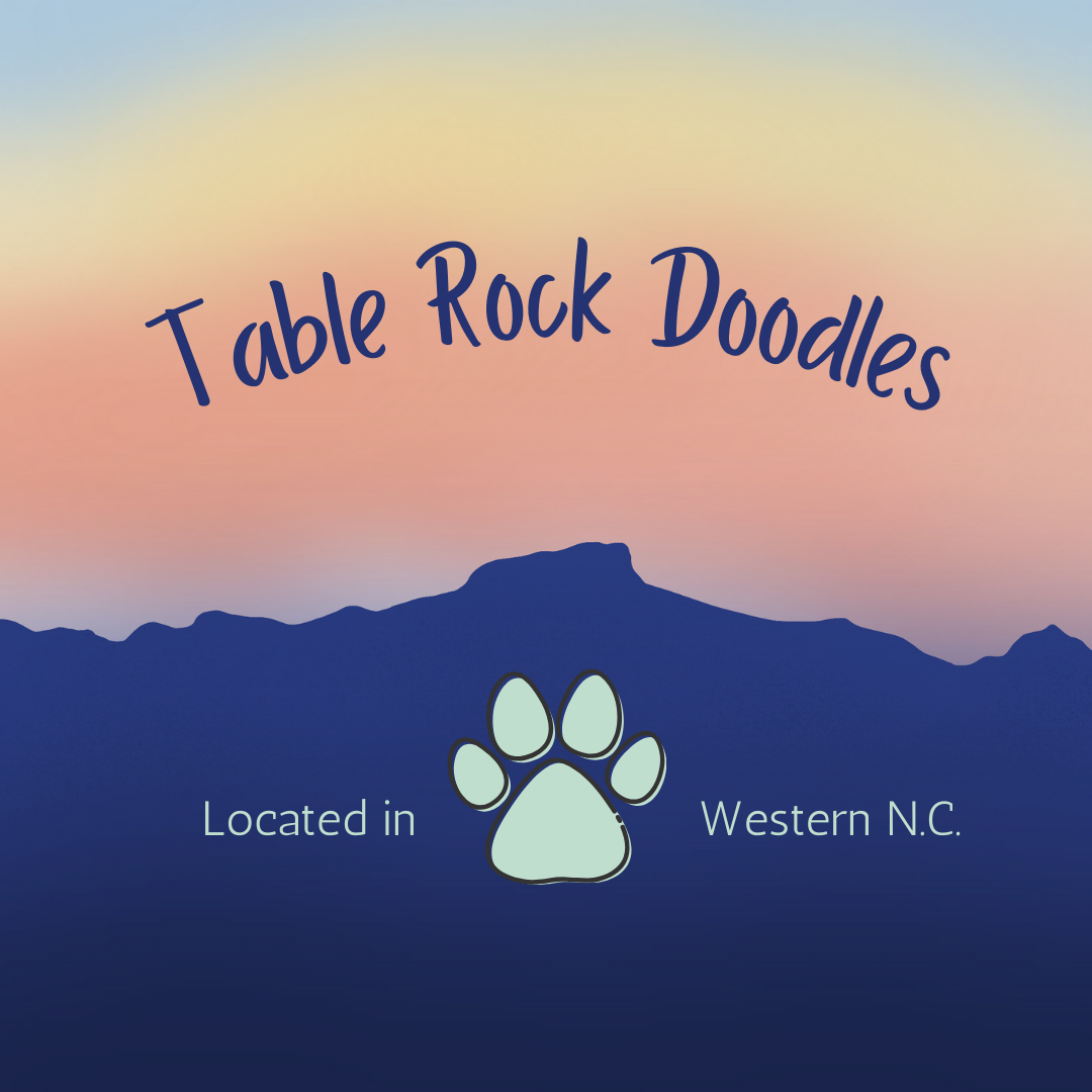 About Us – Table Rock Doodles